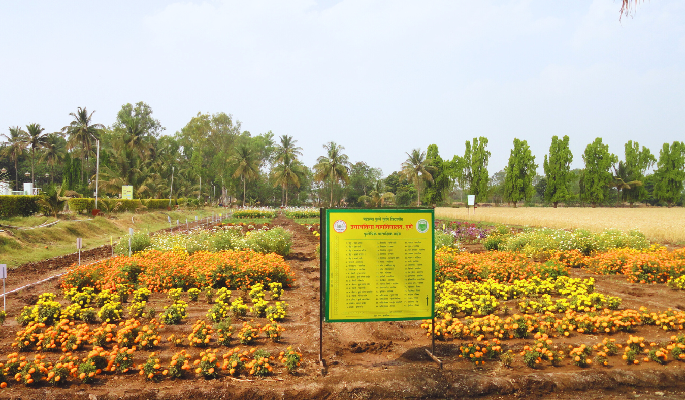 COHPune – College of Horticultural